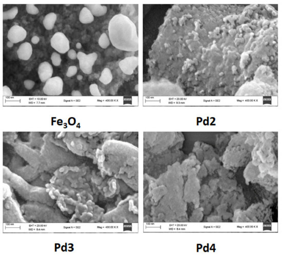 Controlling the Physical Properties of Fe3O4-Immobilized Palladium ...