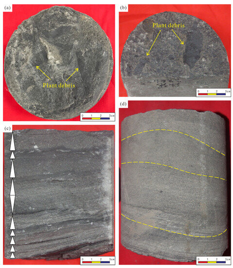 Distribution of Hyperpycnal Flow Related Sandstone Deposits in a ...