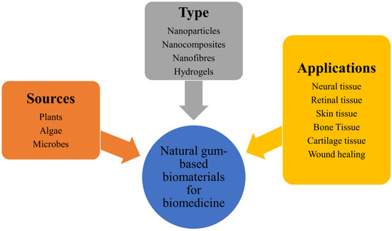 Advanced Biomedical Applications of Multifunctional Natural and ...