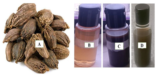 Amomum subulatum Fruit Extract Mediated Green Synthesis of Silver and Copper Oxide Nanoparticles ...