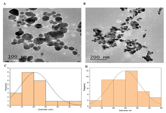 Amomum subulatum Fruit Extract Mediated Green Synthesis of Silver and Copper Oxide Nanoparticles ...