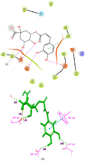 LC-MS/MS and GC-MS Identification of Metabolites from the Selected ...