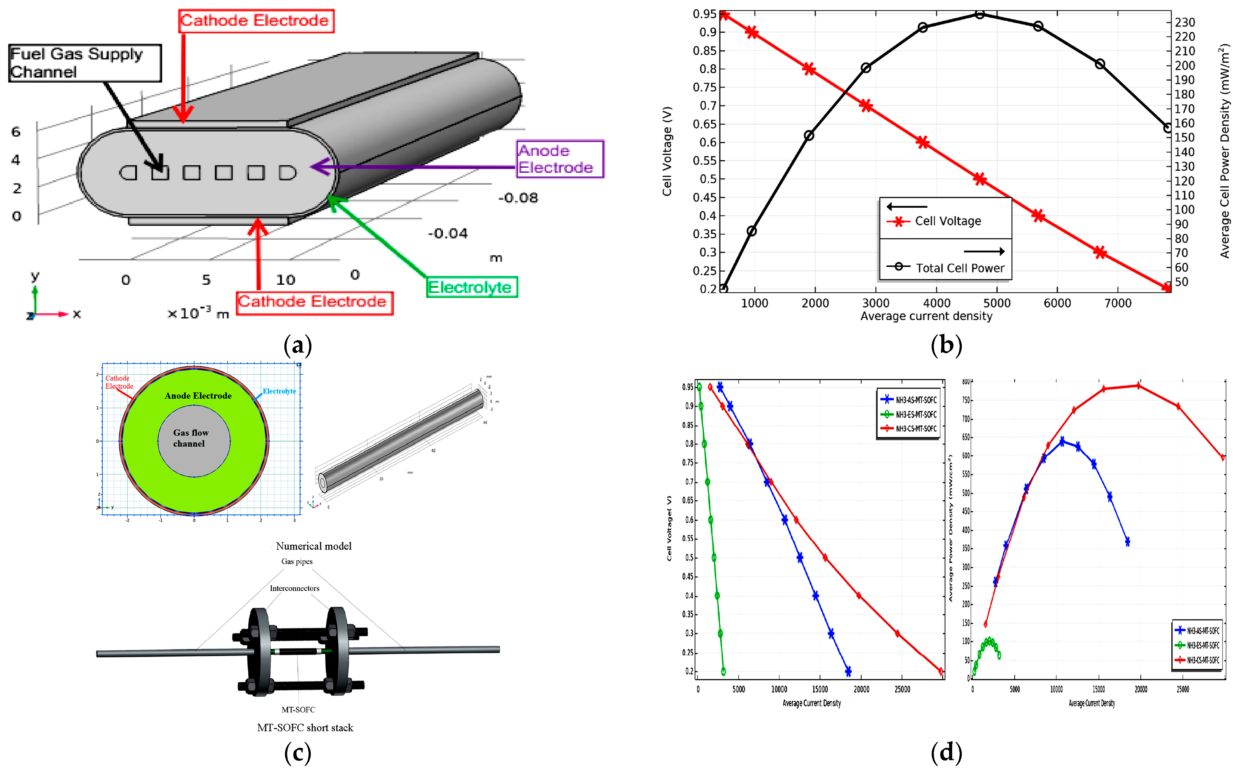 Numerical Modeling of Ammonia-Fueled Protonic-Ion Conducting ...