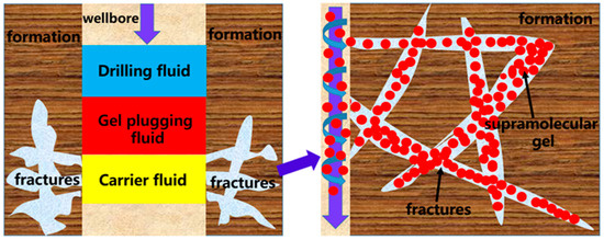 Evaluation of Supramolecular Gel Properties and Its Application in ...