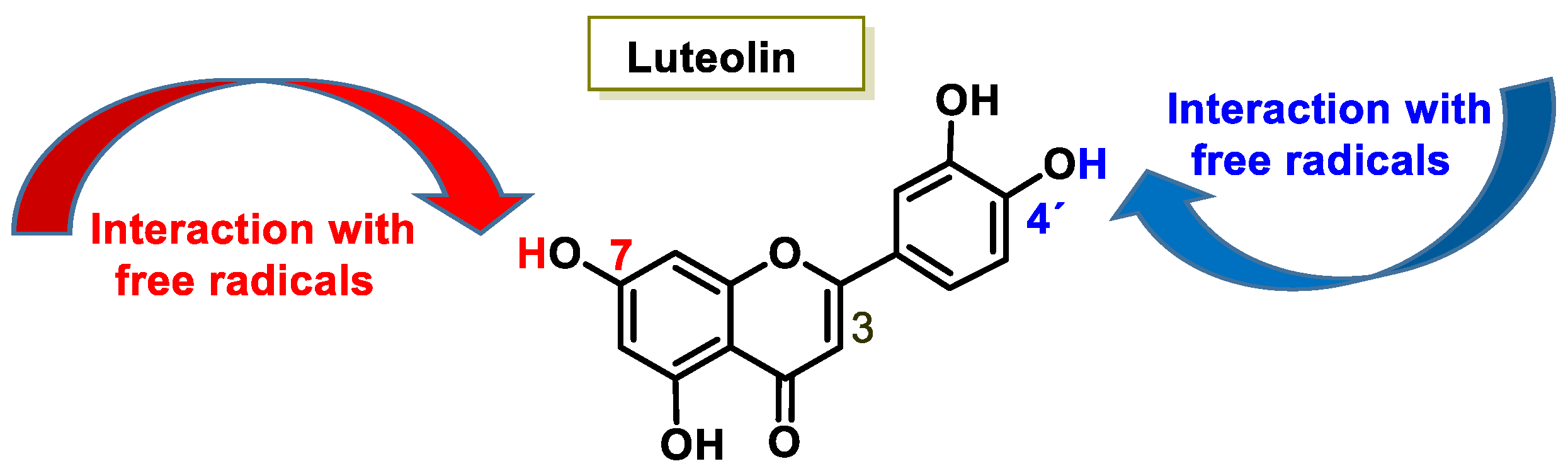 Processes Free Full Text Polyphenols As Antioxidant Pro Oxidant
