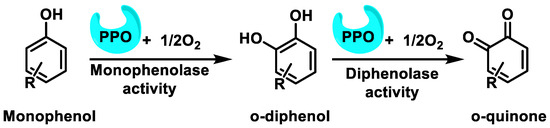 Polyphenols as Antioxidant/Pro-Oxidant Compounds and Donors of Reducing ...
