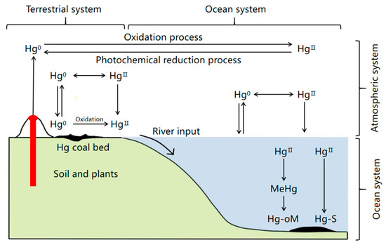 Research Progress in the Analysis of Chemical Forms of Mercury in ...