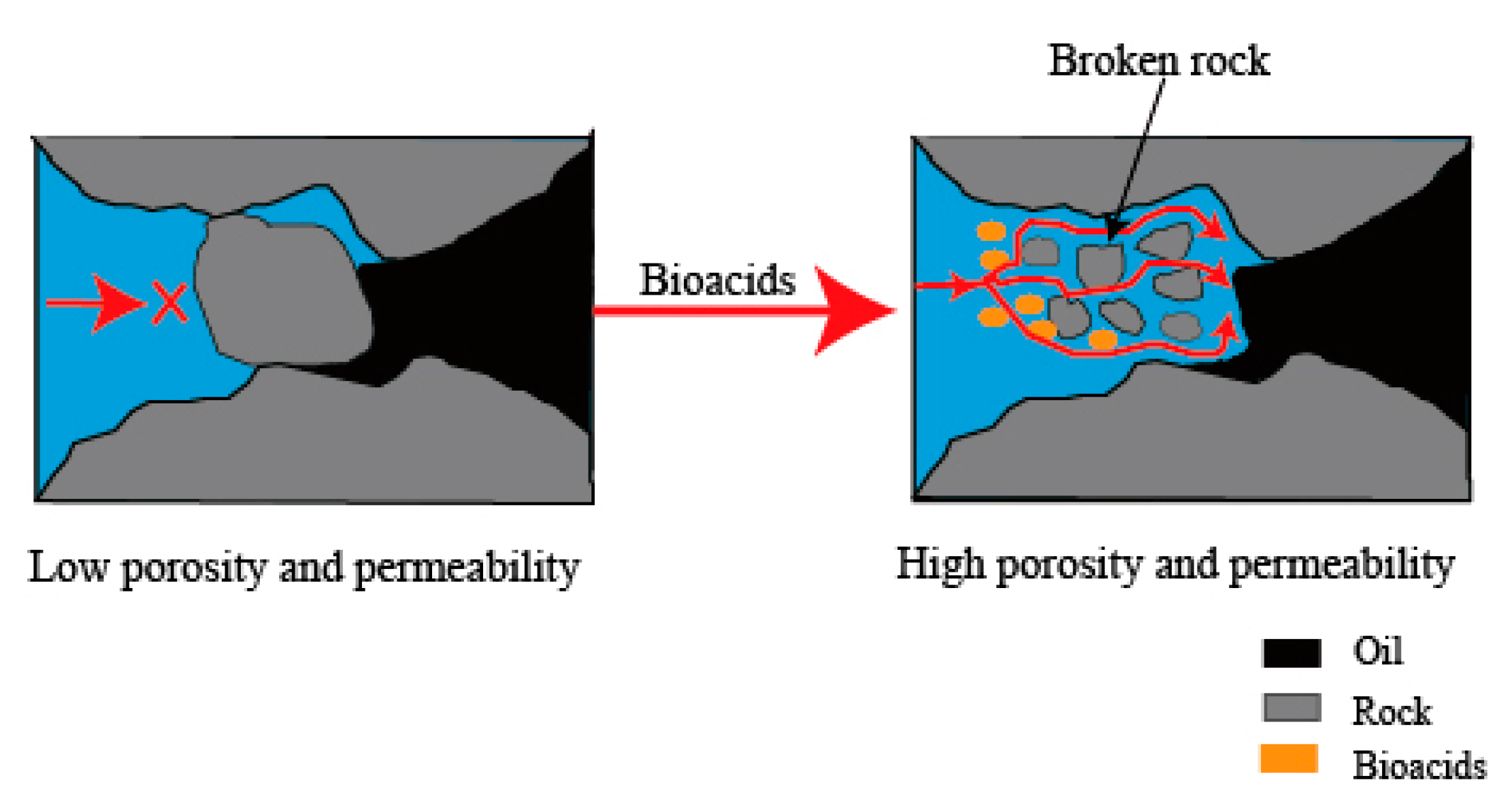 Processes | Free Full-Text | Development of Microbial Consortium and ...