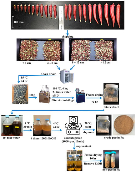 Verifying the Optimal Extraction Method and Content of Red Okra ...