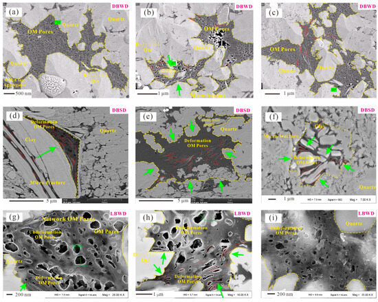 Tectonic Control on Shale Pore Structure and Gas Content from the ...