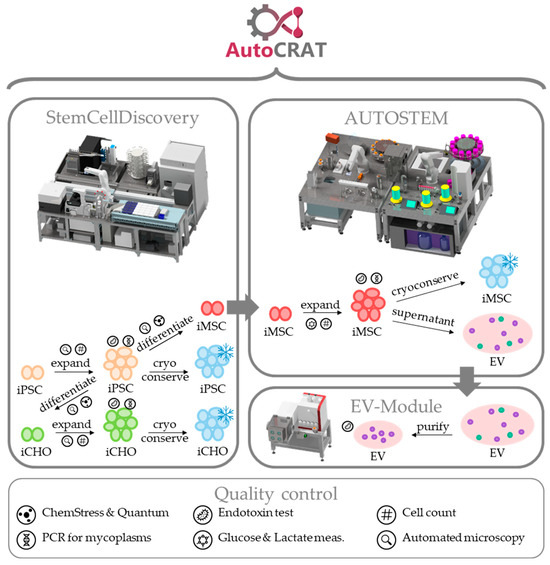 Automated Production at Scale of Induced Pluripotent Stem Cell-Derived ...