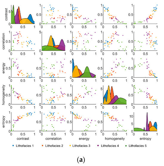 Processes | Free Full-Text | Identification of Shale Lithofacies from FMI Images and ECS Logs ...