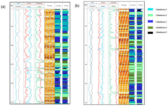 Processes | Free Full-Text | Identification of Shale Lithofacies from FMI Images and ECS Logs ...
