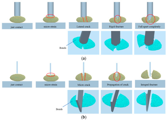 Bond Parameter Calibration and Crushing Process Analysis of Brown Rice ...