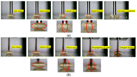 Processes | Free Full-Text | Bond Parameter Calibration and Crushing ...