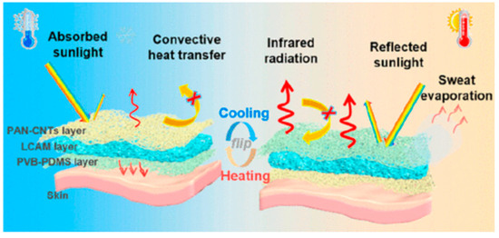 Personal Wearable Thermal and Moisture Management Clothing: A Review on ...