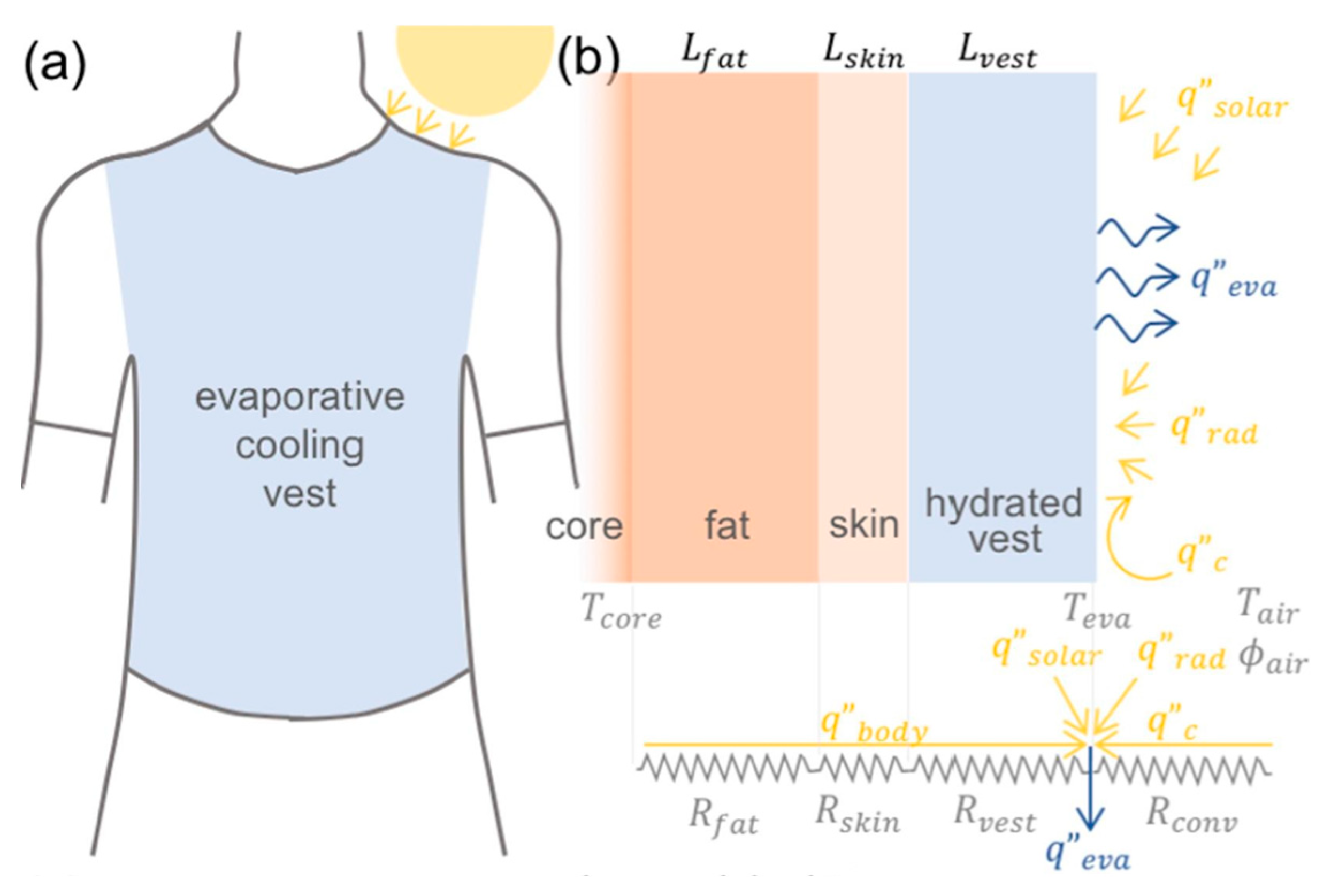 Personal Wearable Thermal and Moisture Management Clothing: A Review on ...