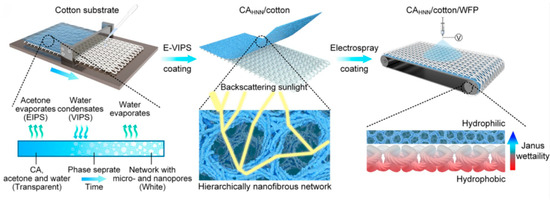 Personal Wearable Thermal and Moisture Management Clothing: A Review on ...