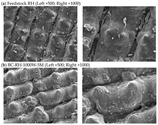 Production of High-Porosity Biochar from Rice Husk by the Microwave ...