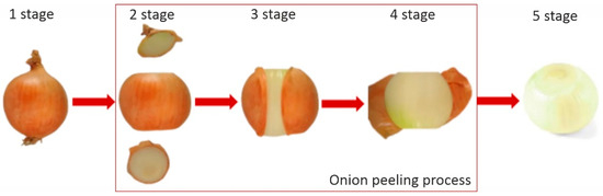 Analysis and Modeling of the Onion Peeling Process in the Blowing ...
