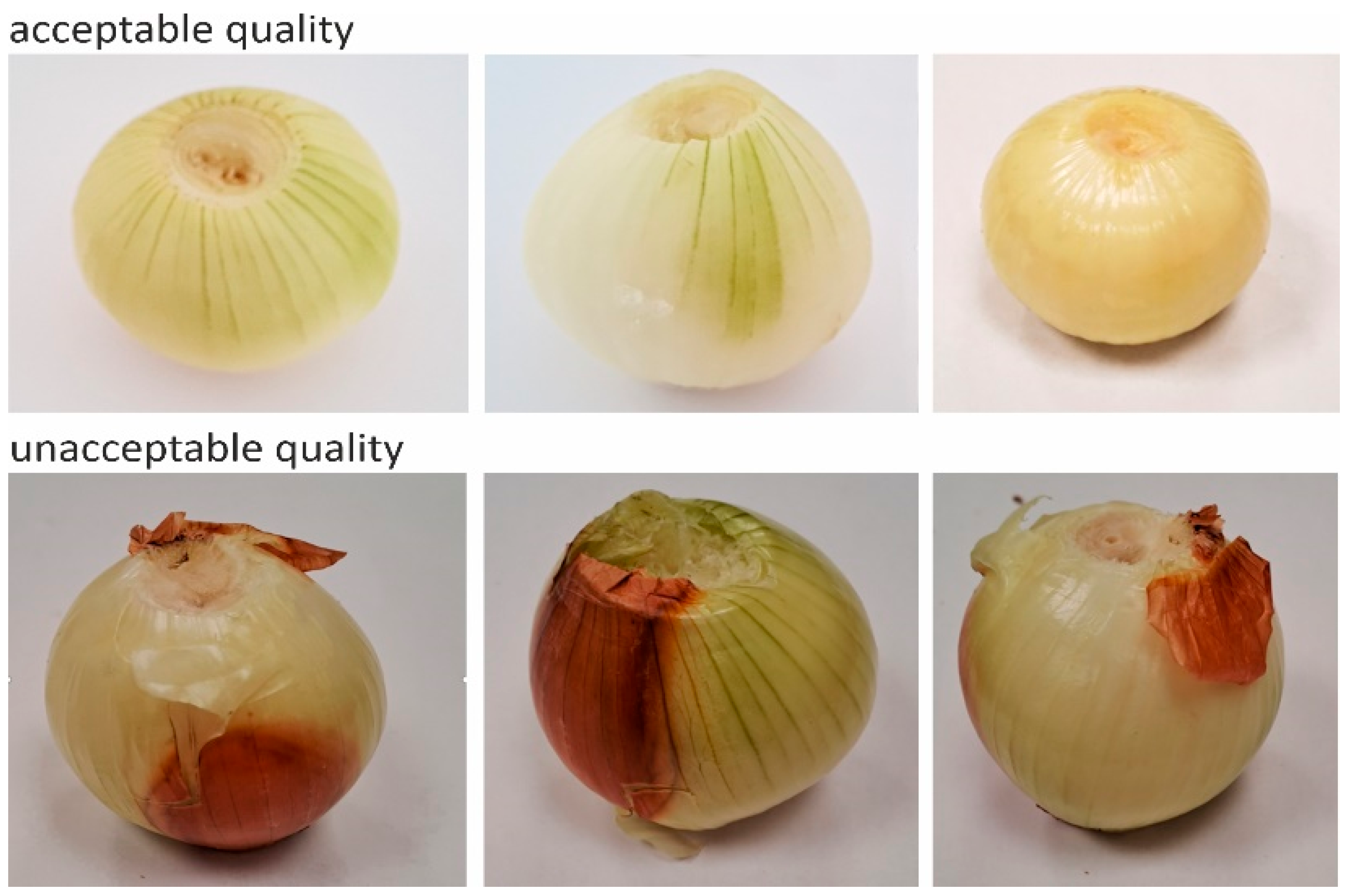 Analysis and Modeling of the Onion Peeling Process in the Blowing ...
