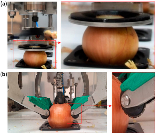 Analysis and Modeling of the Onion Peeling Process in the Blowing ...