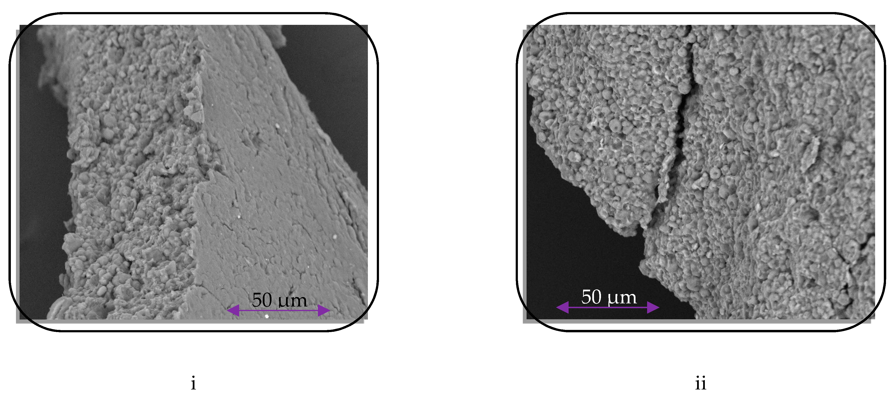 The Development of Oral Solid Dosage Forms Using the Direct-Compression ...