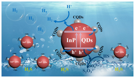 Study of Indium Phosphide Quantum Dots/Carbon Quantum Dots System for ...