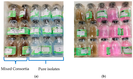 Biogas Upgradation by CO2 Sequestration and Simultaneous Production of ...