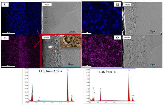 Diffusion Behavior of Carbon and Silicon in the Process of Preparing Silicon Steel Using Solid ...