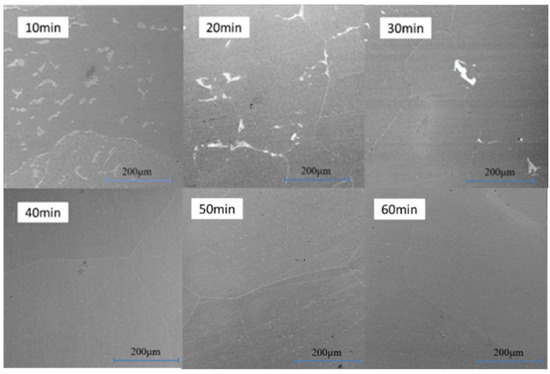 Diffusion Behavior of Carbon and Silicon in the Process of Preparing Silicon Steel Using Solid ...