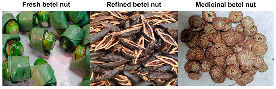 Research Progress on Processing Technology of Refined Betel Nut in China: A Review