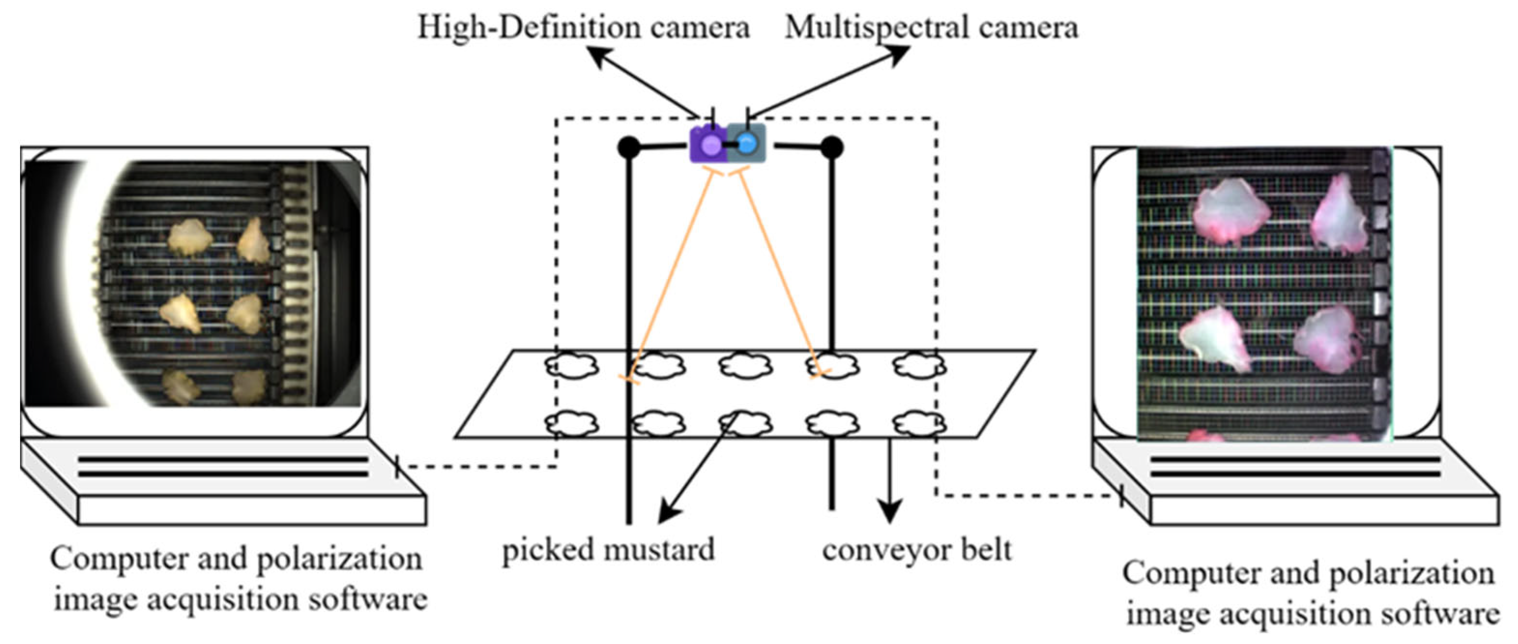 Defect Detection in Food Using Multispectral and High-Definition ...