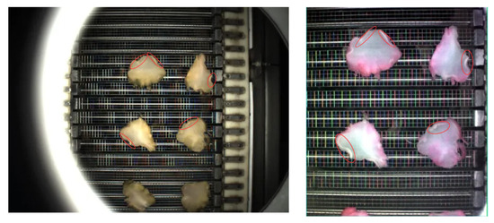 Defect Detection in Food Using Multispectral and High-Definition ...