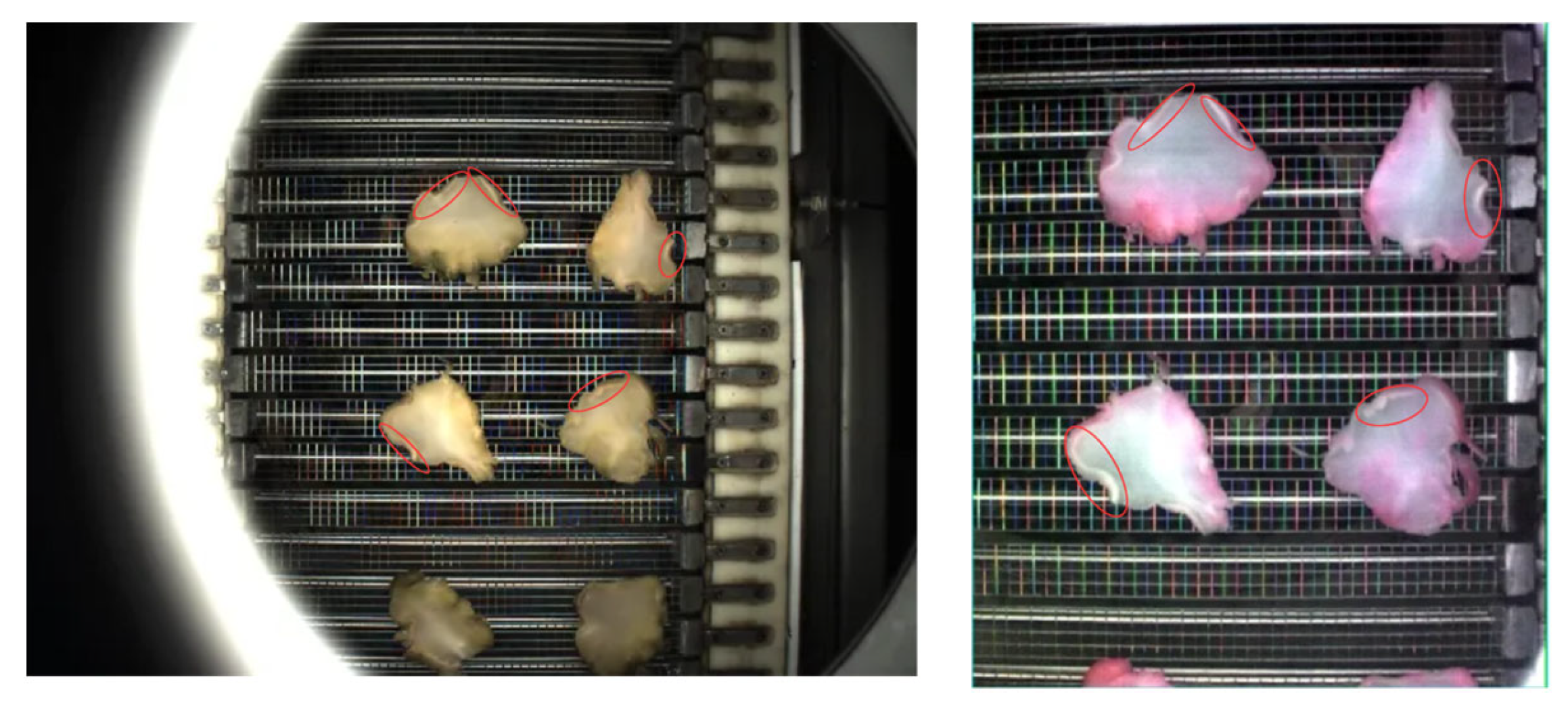Defect Detection in Food Using Multispectral and High-Definition ...