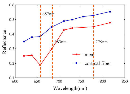 Defect Detection in Food Using Multispectral and High-Definition ...