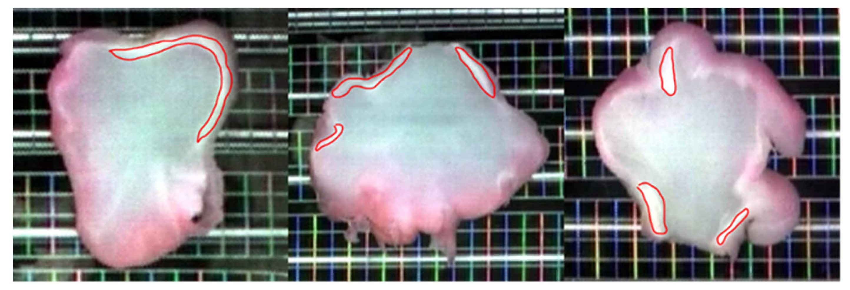 Defect Detection in Food Using Multispectral and High-Definition ...