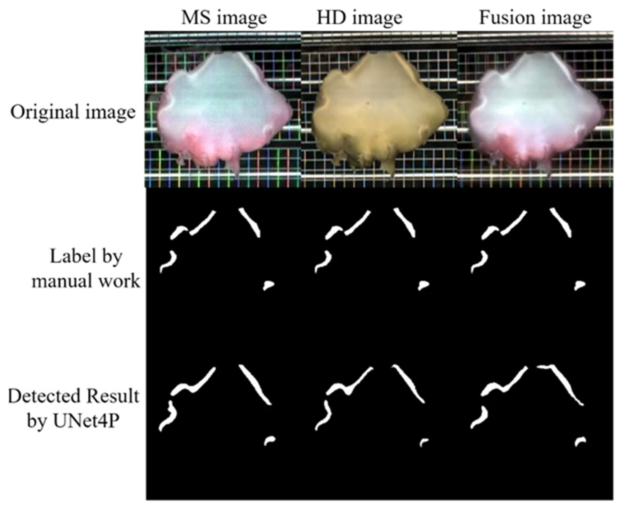 Defect Detection in Food Using Multispectral and High-Definition ...
