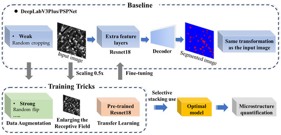 Training Tricks for Steel Microstructure Segmentation with Deep Learning
