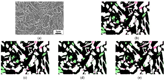 Training Tricks for Steel Microstructure Segmentation with Deep Learning