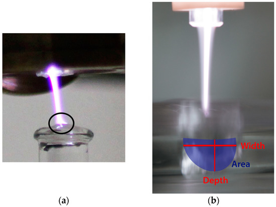 Effects of Surface-Wave-Sustained Argon Plasma Torch Interaction with ...