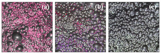 Prediction of Clean Coal Ash Content in Coal Flotation through a ...