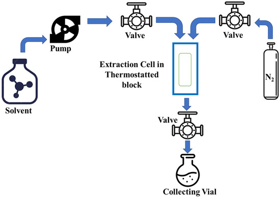 Emerging Trends in Green Extraction Techniques for Bioactive Natural ...