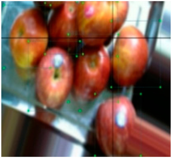 Processes | Free Full-Text | Research on the Real-Time Detection of Red Fruit Based on the You ...