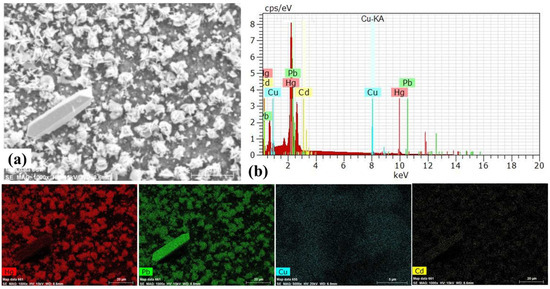 An Effective Mercury Ion Adsorbent Based on a Mixed-Matrix ...