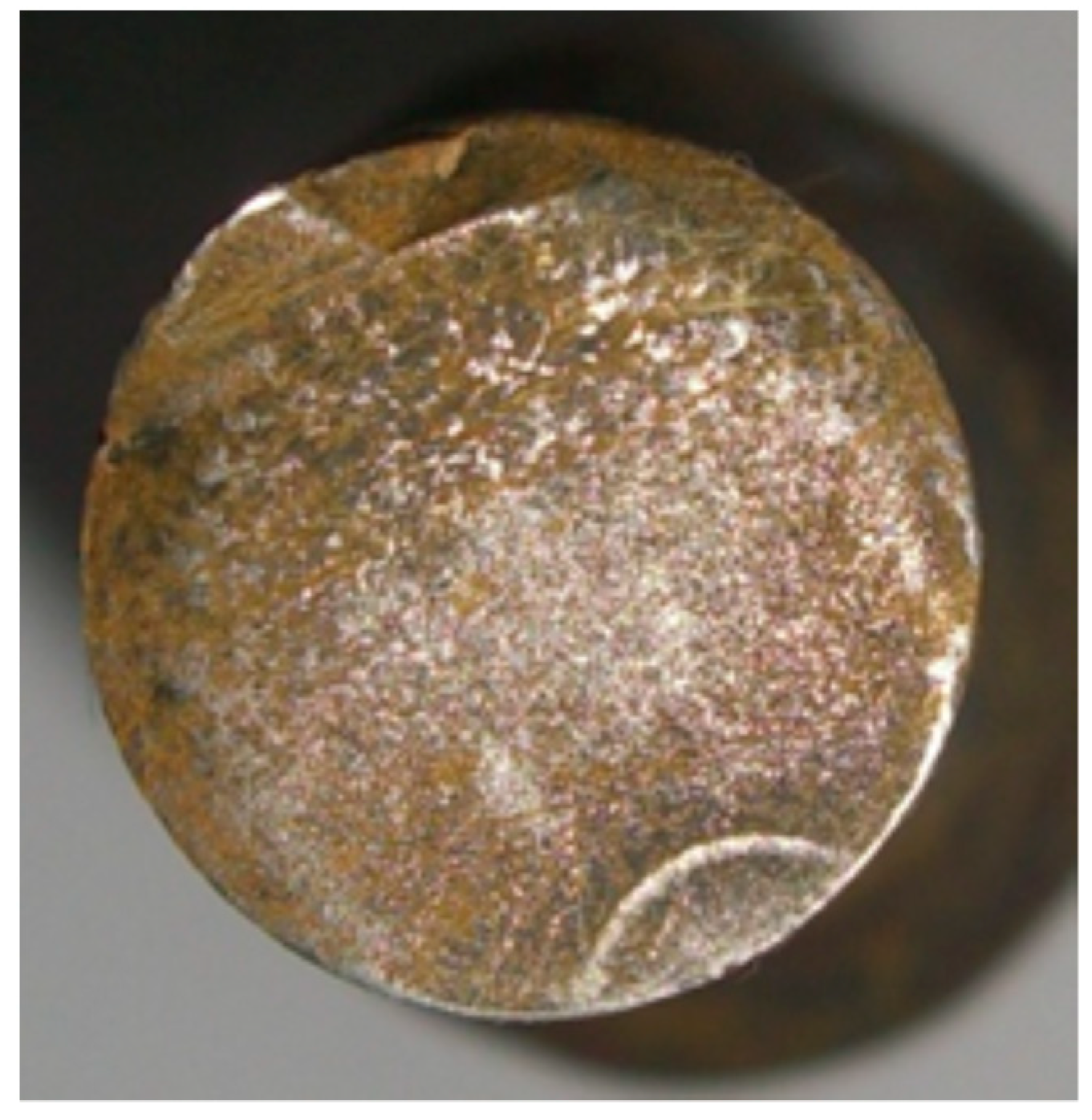 Low-Frequency Corrosion Fatigue Test Study of Sucker Rods under High ...