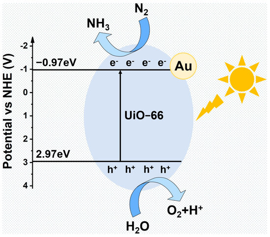 Au Nanoparticle-Loaded UiO-66 Metal–Organic Framework for Efficient Photocatalytic N2 Fixation
