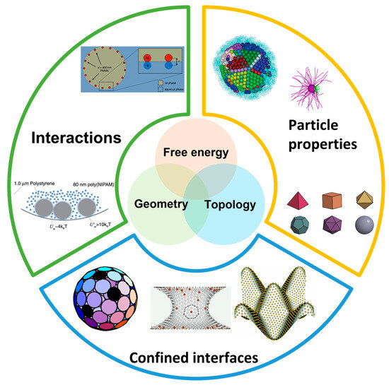 Self-Assembly in Curved Space: Ordering, Defect and Entropy
