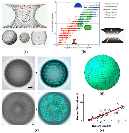Self-Assembly in Curved Space: Ordering, Defect and Entropy