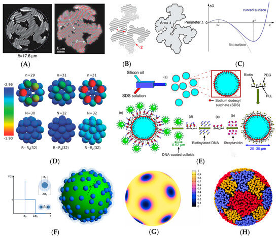 Self-Assembly in Curved Space: Ordering, Defect and Entropy